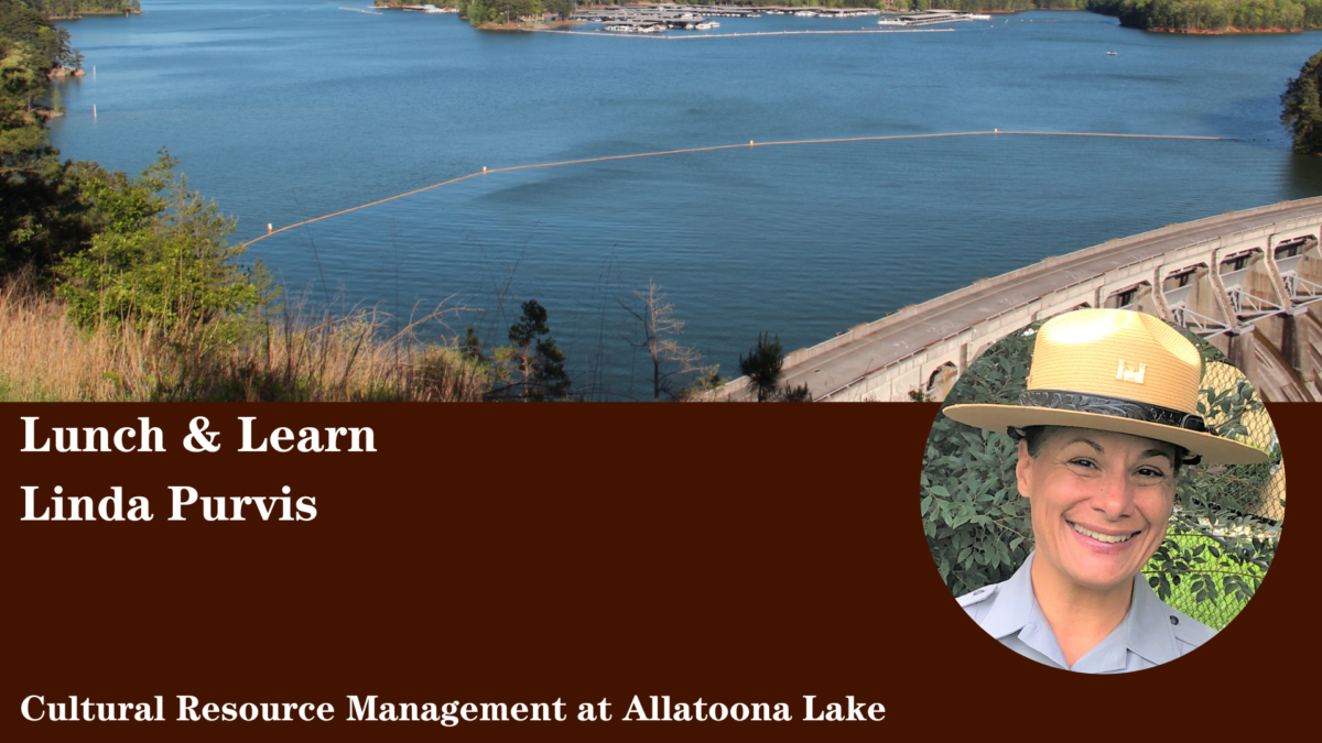 Lunch & Learn – Linda Purvis | Bartow History Museum